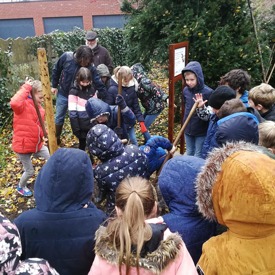 Miljoenste boom aangeplant voor ‘Behaag onze Kempen’ - Geel FM