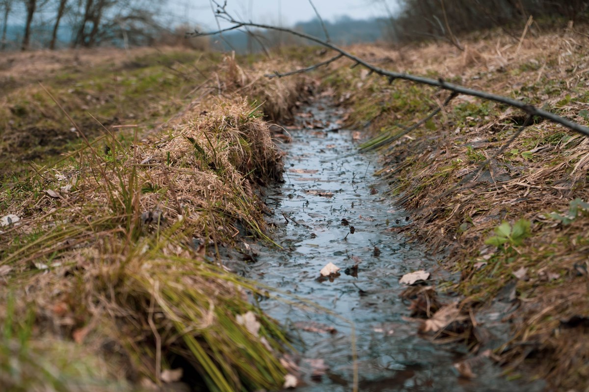 Stad wilt 76 grachten erkennen en beheren - Geel FM