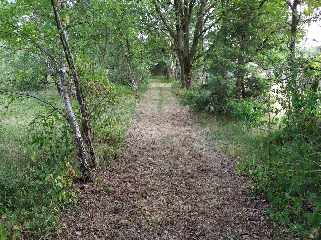 Wandelpad op grens Geel met Meerhout terug open - Geel FM